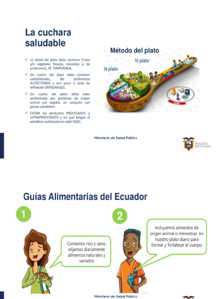 IMAGENES GABAs Ecuador Cuchara Saludable y Mensajes 2024 | PDF