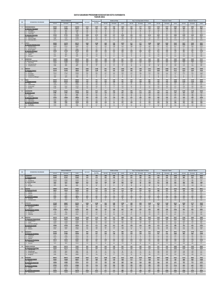 Sasaran Program THN 2024 | PDF