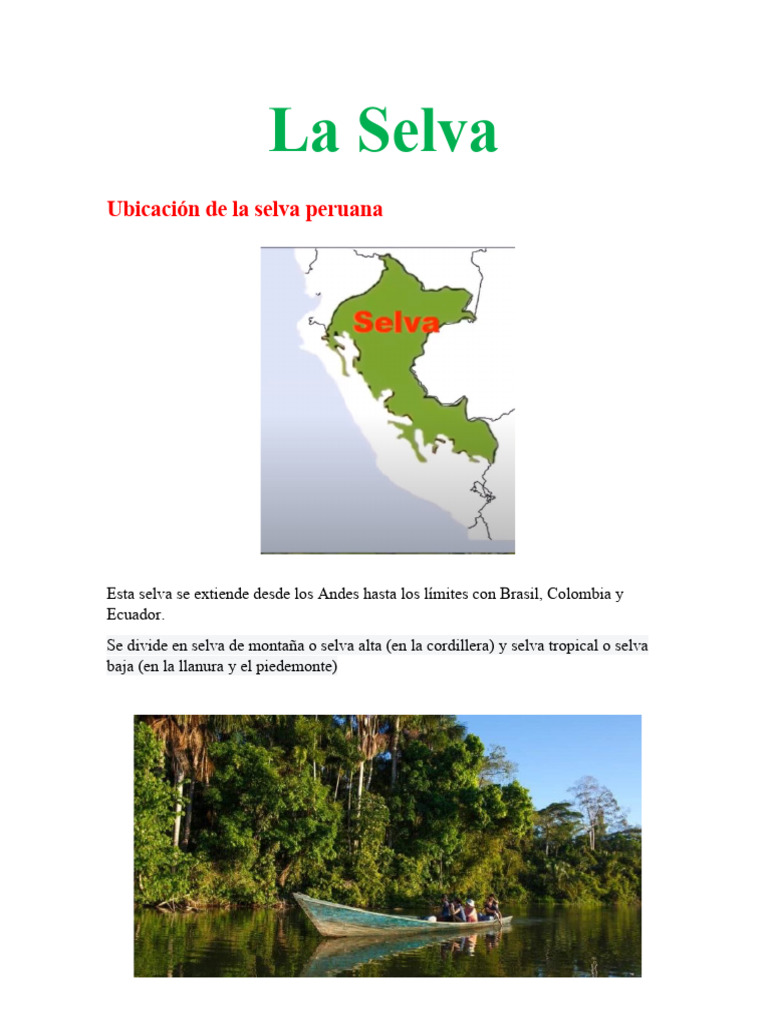 Mapa y características de la selva peruana | PDF | Selva | Perú
