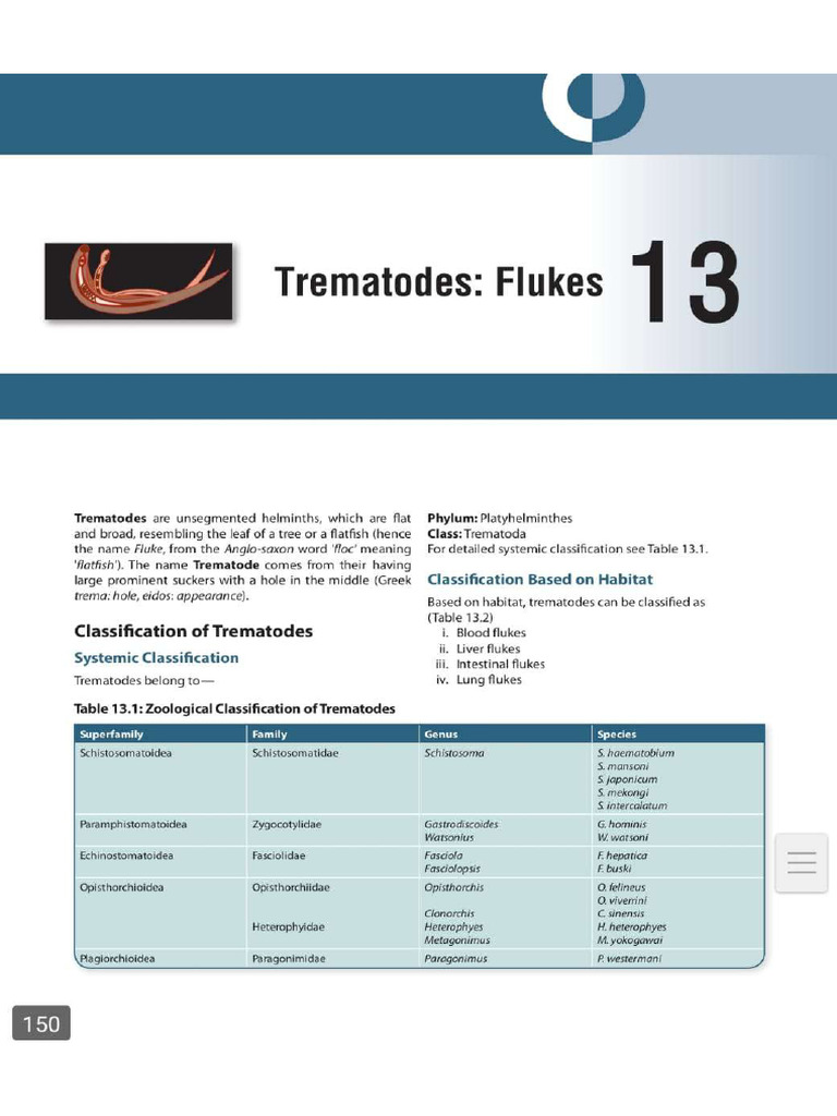 Flukes | PDF