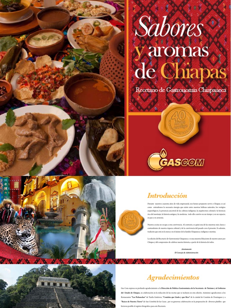 Recetario de Cocina Tradicional Chiapaneca, Chiapas Traditional Food ...