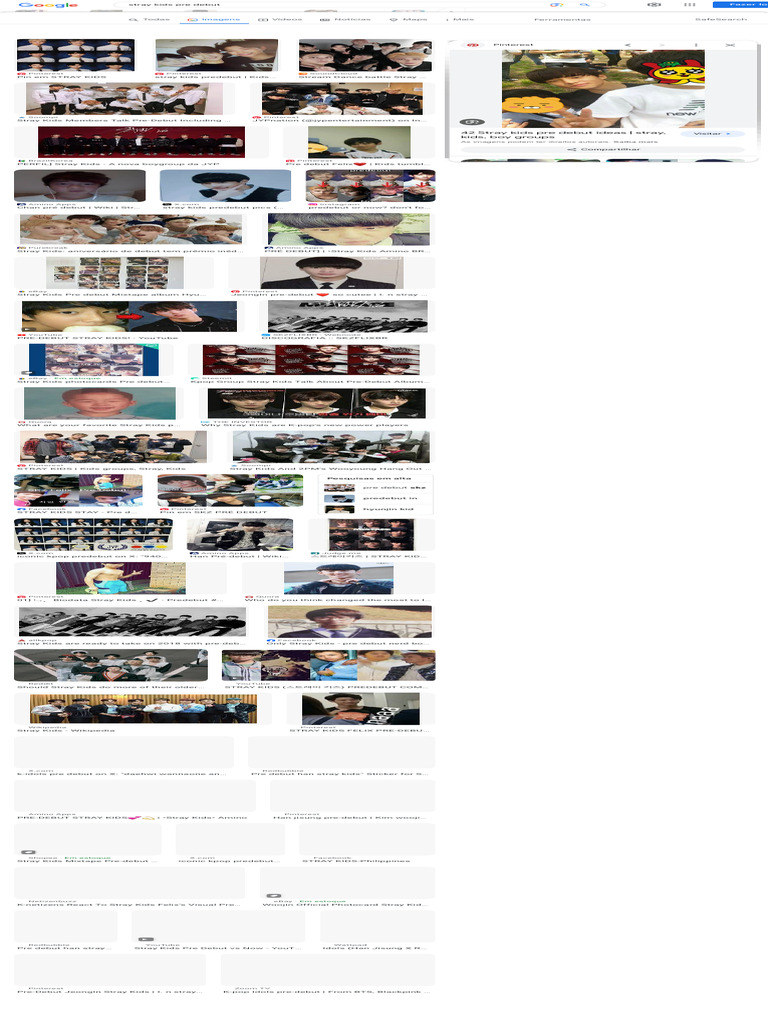 Stray Kids Pre-Debut Insights | PDF | Entertainment
