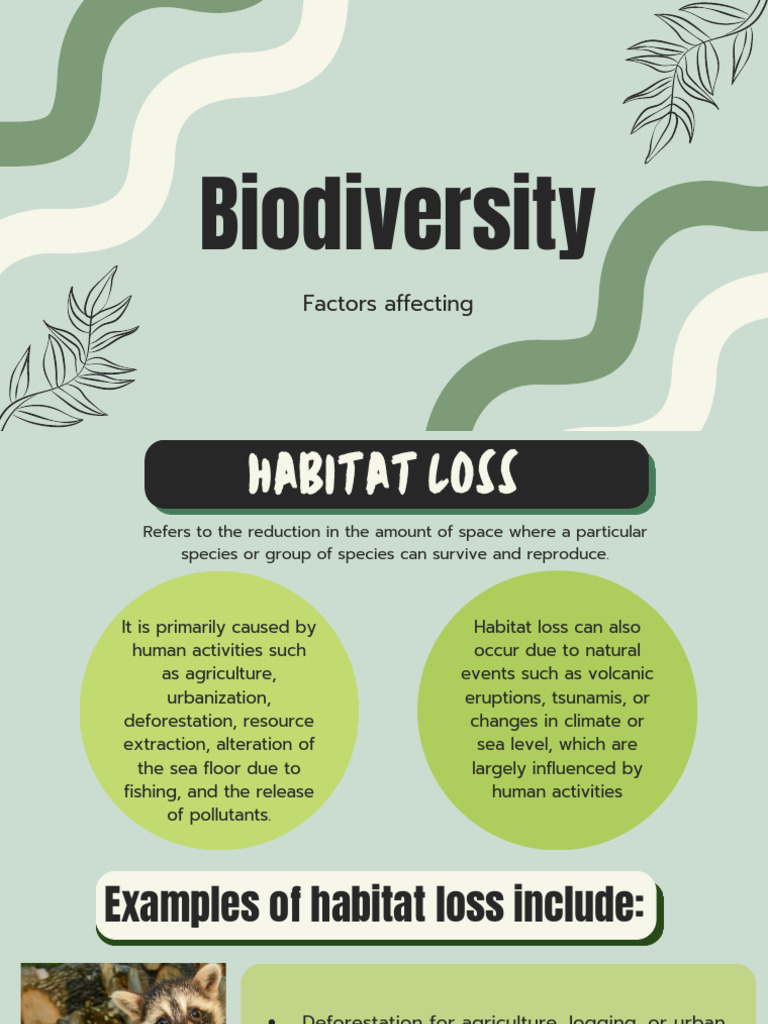 Factors Affecting Biodiversity | PDF | Habitat Destruction | Invasive ...