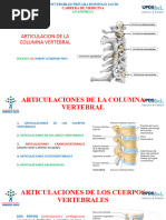 Articulaciones y Ligamentos de La Columna Vertebral | PDF