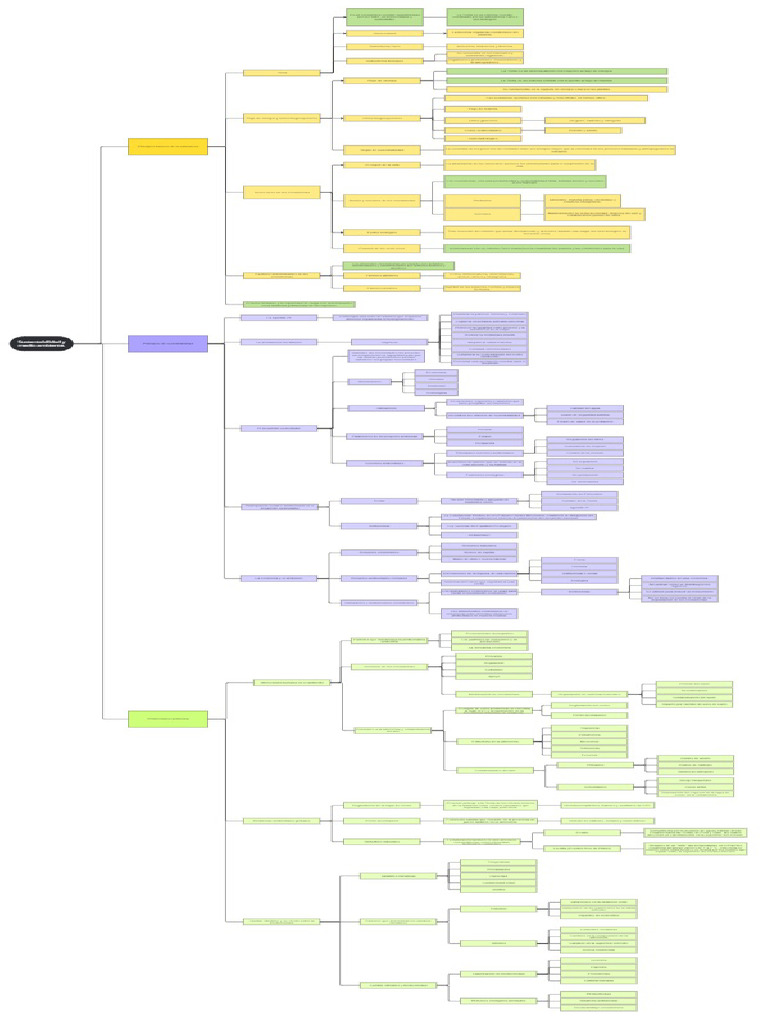 Brace Map | PDF