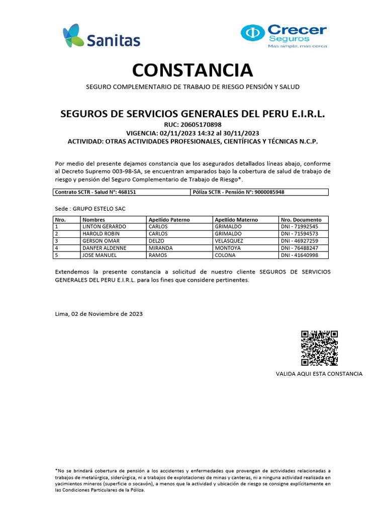 Grupo Estelo Sac 5P | PDF | Póliza de seguros | Seguro