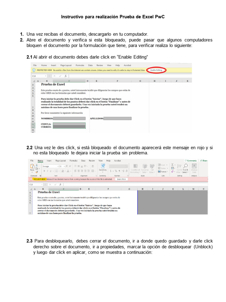 Instructivo para Realización Prueba de Excel PWC | PDF