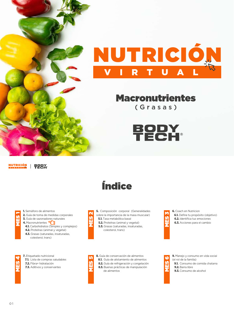 Macronutrientes Grasas | PDF | gordo | Ácido Graso Omega 3