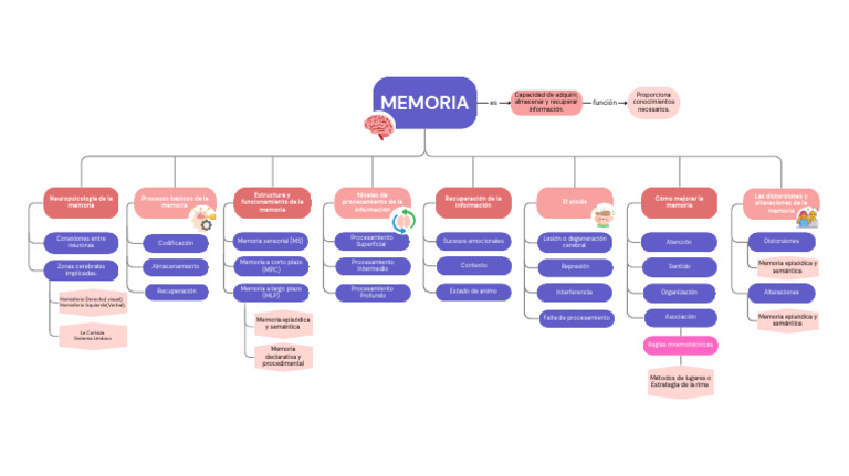 Tipos y Procesos de la Memoria Humana | PDF | Memoria | Neuropsicología