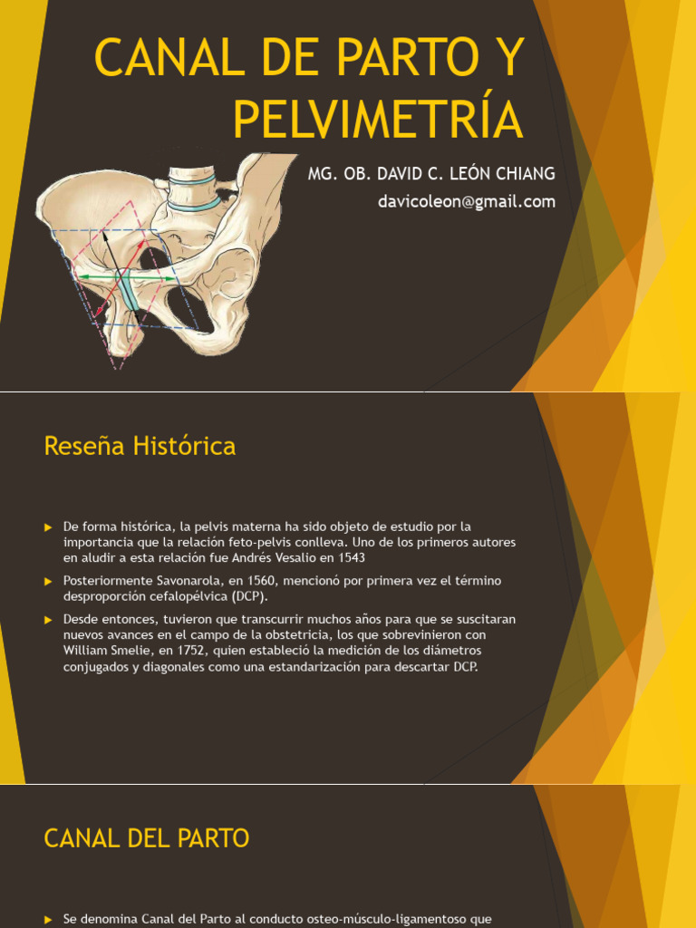03 Canal De Parto Y Pelvimetría Pdf Pelvis Anatomía