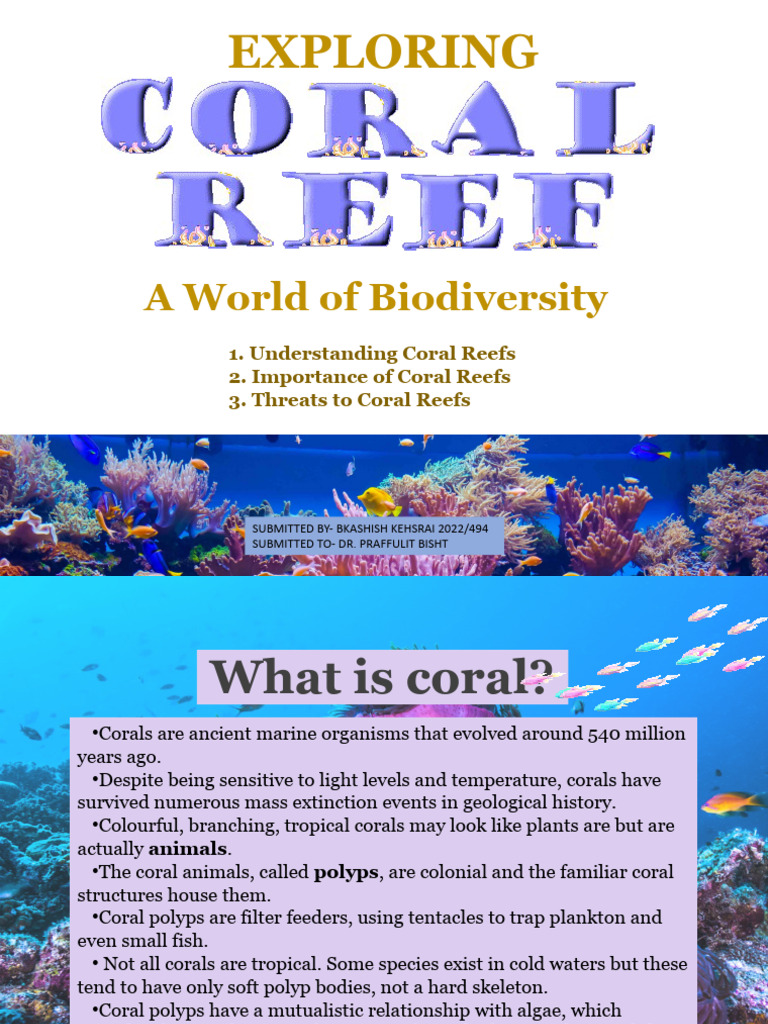 Env Science Coral Reef Project | PDF | Coral Reef | Coral