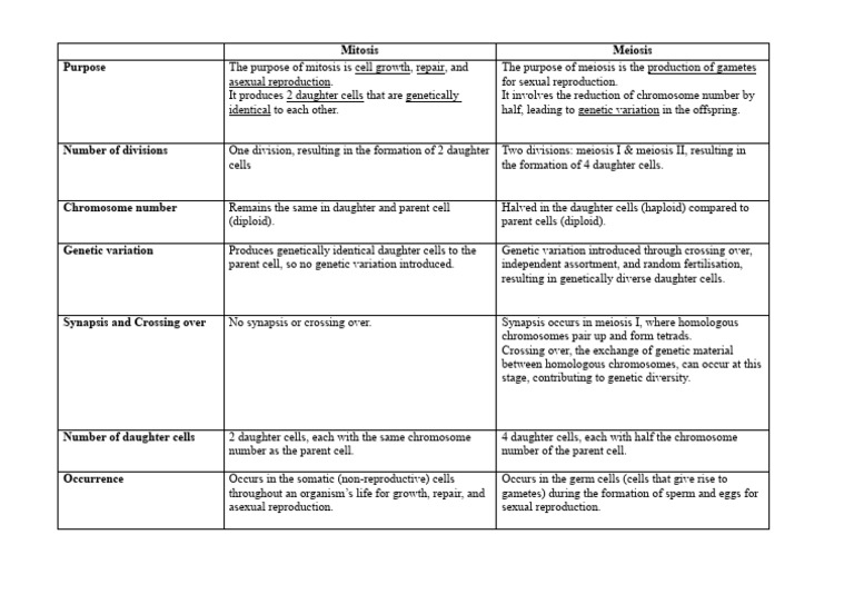 Mitosis Vs Meiosis Pdf Meiosis Ploidy
