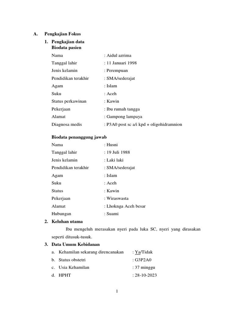 Resume KPD Sattra PDF | PDF