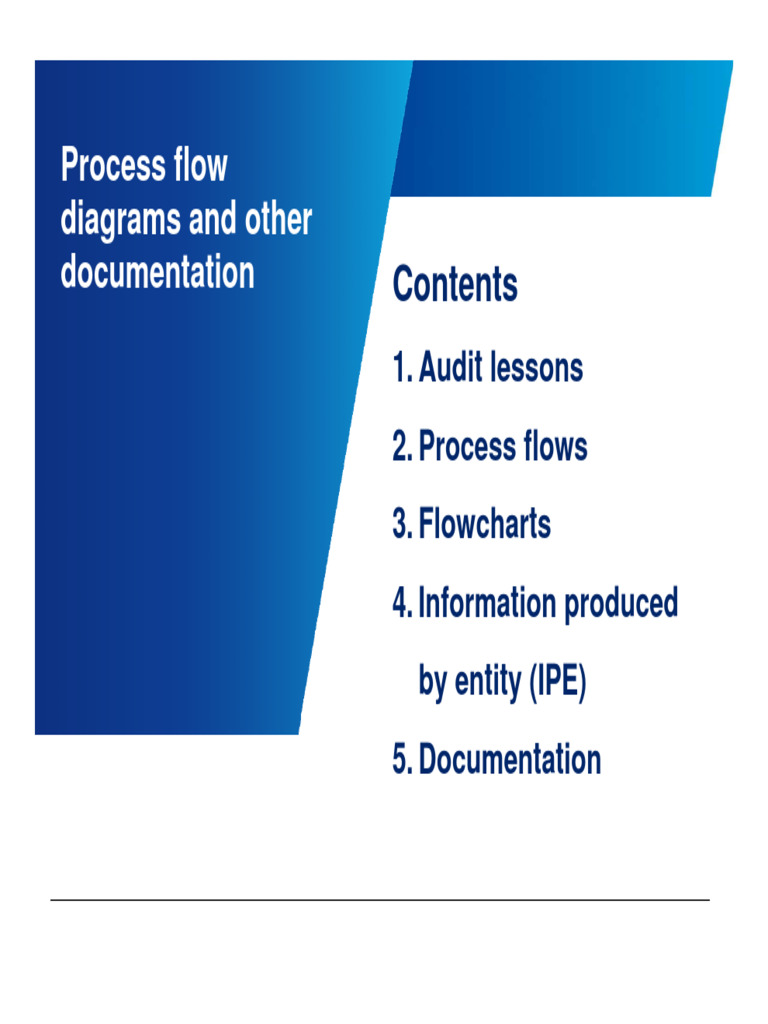 Process Flow Diagrams and Documentation | PDF | Spreadsheet | Audit