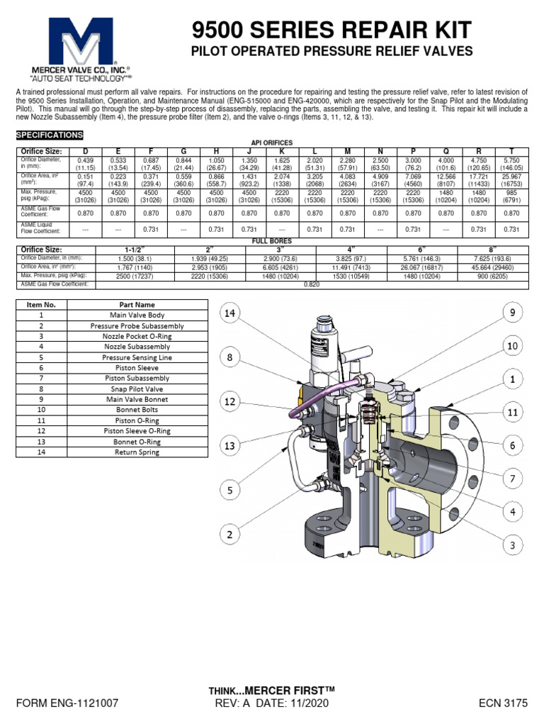 9500 Main Valve Repair Kit Shipping Flyer | PDF | Valve | Mechanical ...