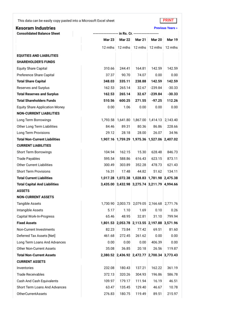 Balance Sheet | PDF | Equity (Finance) | Balance Sheet