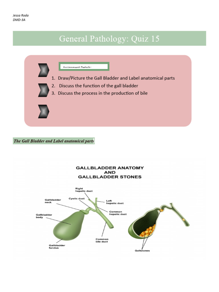 General Pathology Gall Bladder | PDF | Bile | Gallbladder