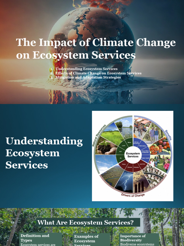 EVS Presentation | Download Free PDF | Ecosystem | Climate Change
