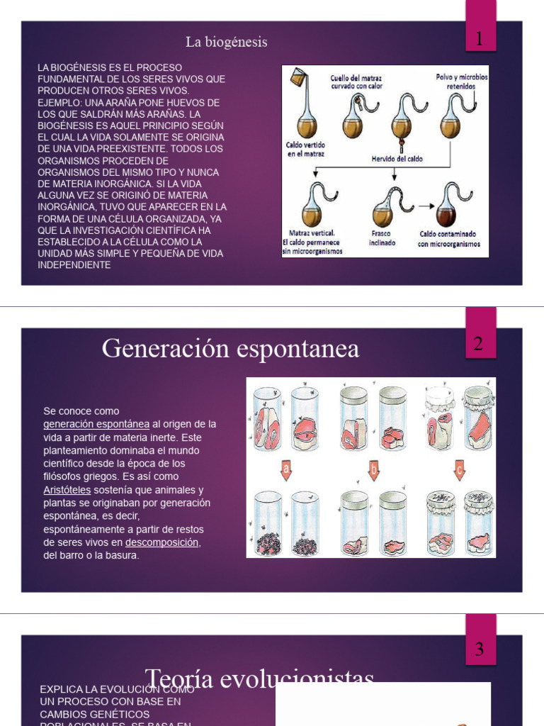 La Biogénesis y Teorias Evolucionistas | PDF | Evolución | Biología