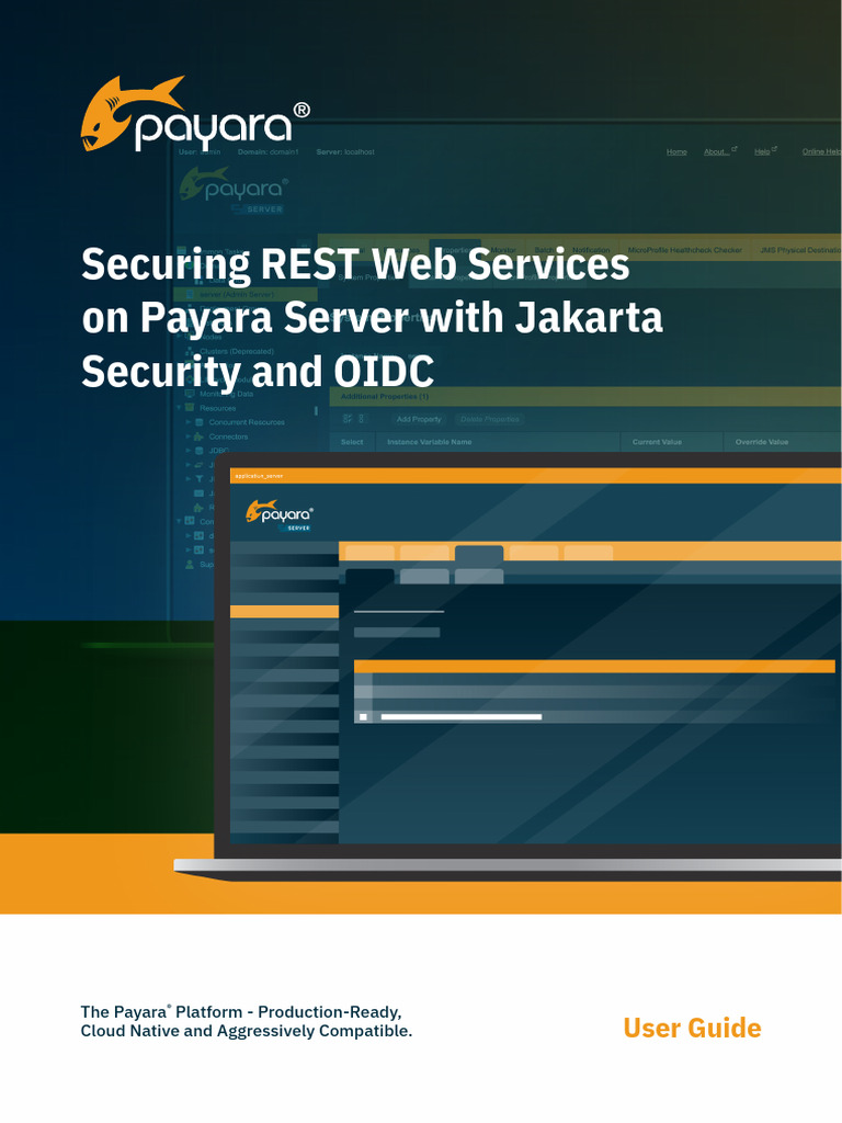 Securing REST Web Services On Payara Server | PDF | World Wide Web | Internet & Web