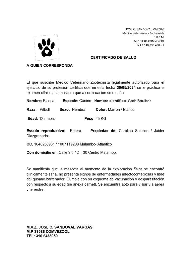 Certificado Bianca | PDF