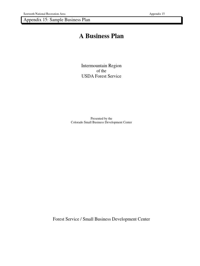 Appendix 15 Sample Business Plan | PDF | Limited Liability Company ...