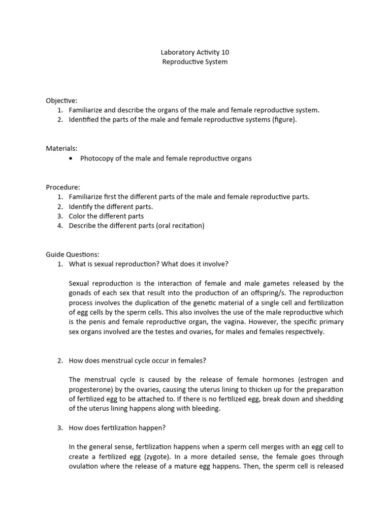 Laboratory Activity 10_Reproductive System | PDF | Human Reproduction ...