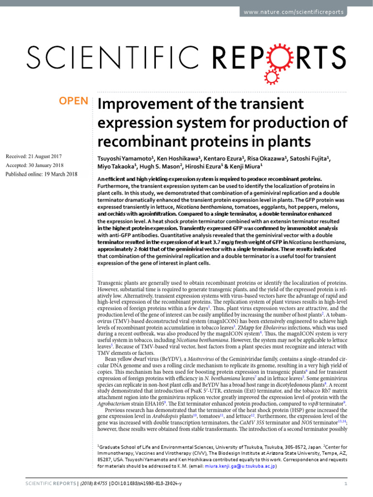 Enhanced Transient Protein Expression in Plants | PDF | Vector ...