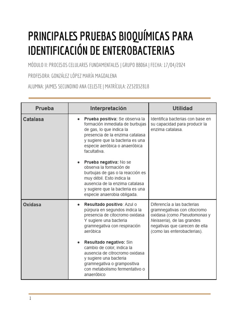 Pruebas Bioquímicas Enterobacterias | PDF | Bacterias Gram-negativo | Las bacterias
