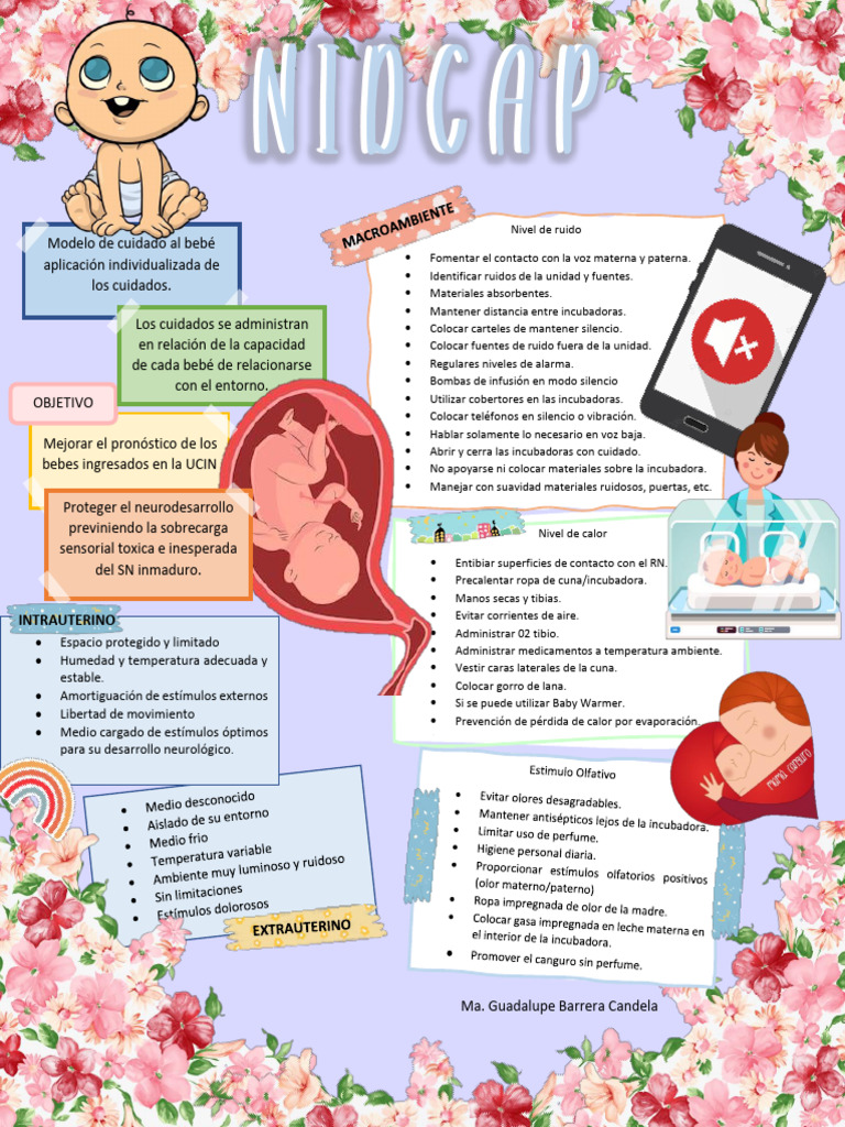 NIDCAP | PDF | Unidad de cuidado intensivo neonatal