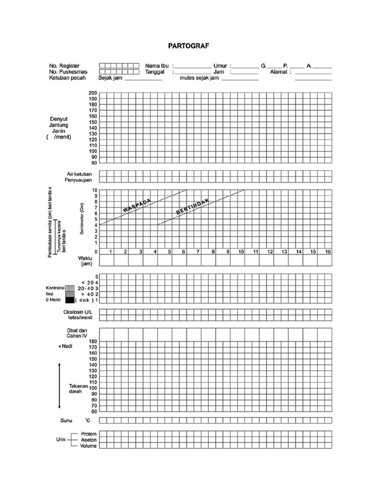 Patograf | PDF