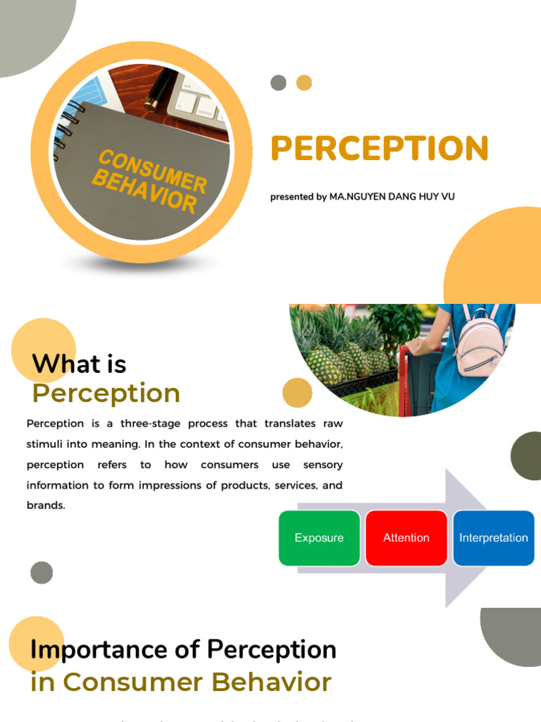 Perception: Presented by MA - NGUYEN DANG HUY VU | PDF | Perception ...