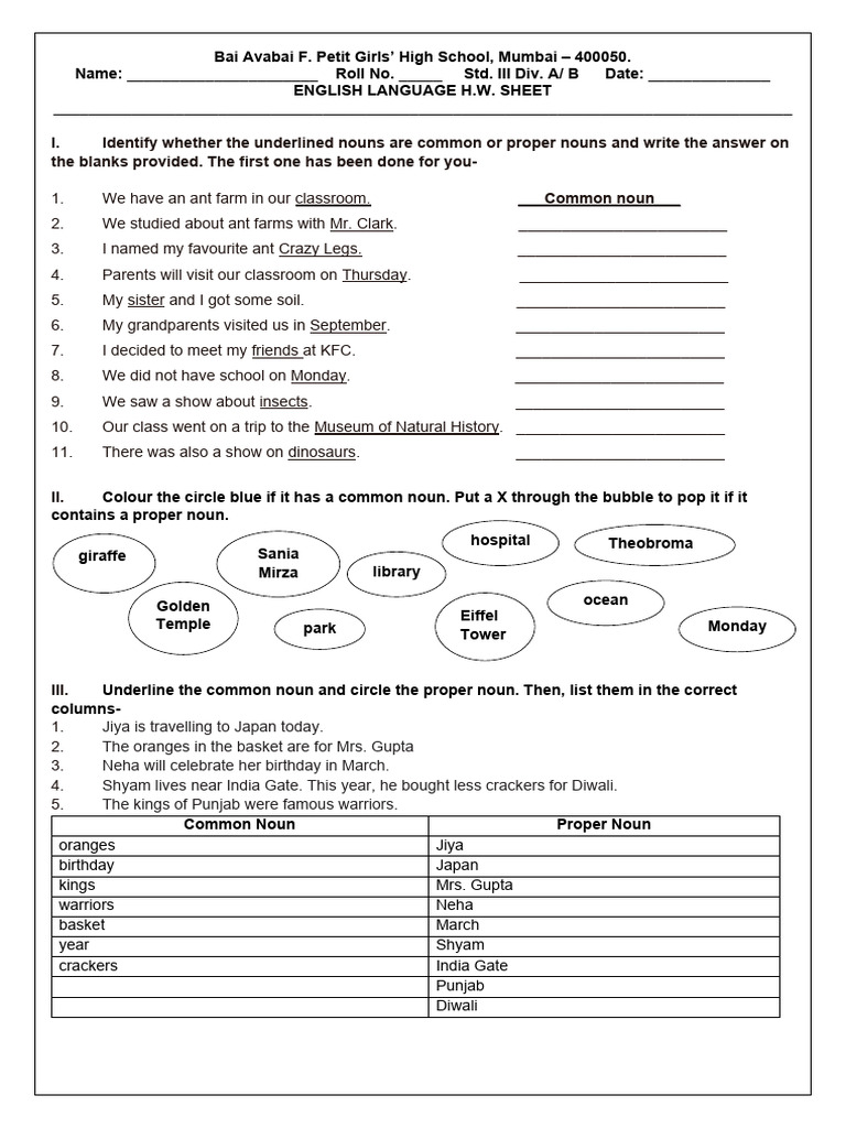 Class 3 Language HW Sheet 1 Common and Proper Nouns 2024 | PDF ...