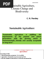 Organisation Chart DG Clima - en - 1 | PDF | Low Carbon Economy ...