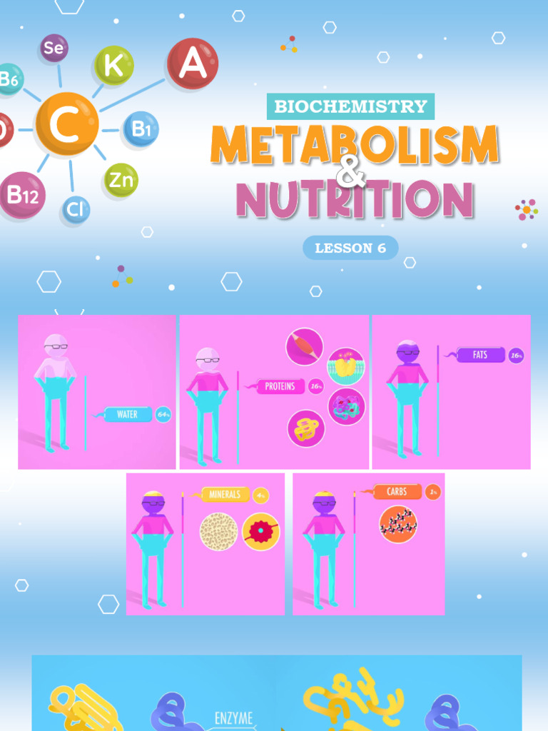 6 - Metabolism and Nutrition | PDF | Wellness