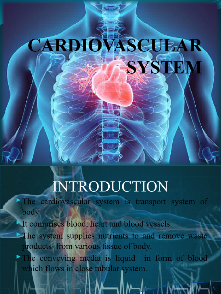 Introduction to the Cardiovascular System | PDF