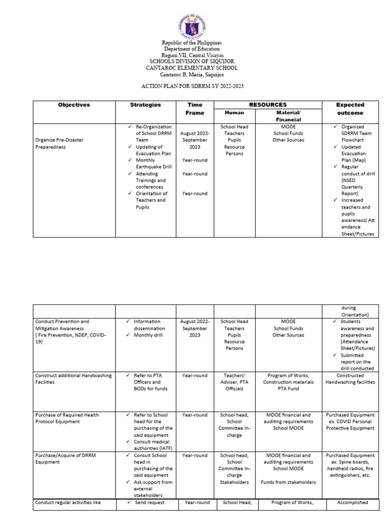 action plan drrm | PDF