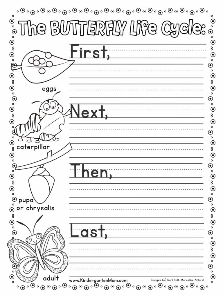 5 Life Cycle of Butterfly Writing | PDF