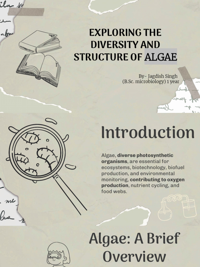 Literary Analysis and Interpretation - Spanish - Foreign Language ...