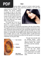 Haircutting Parts of Head Elevation | PDF | Hair | Hairstyle