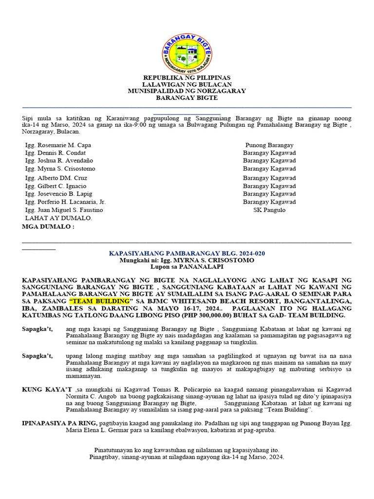 Reso 2024-010 Solar Lights Cong Pleyto | PDF