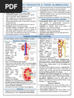 ANZCOR Guideline 4 - Airway: Who Does This Guideline Apply To? | PDF ...