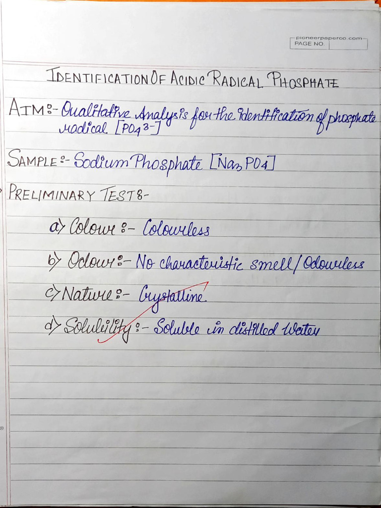 phosphate write up | PDF