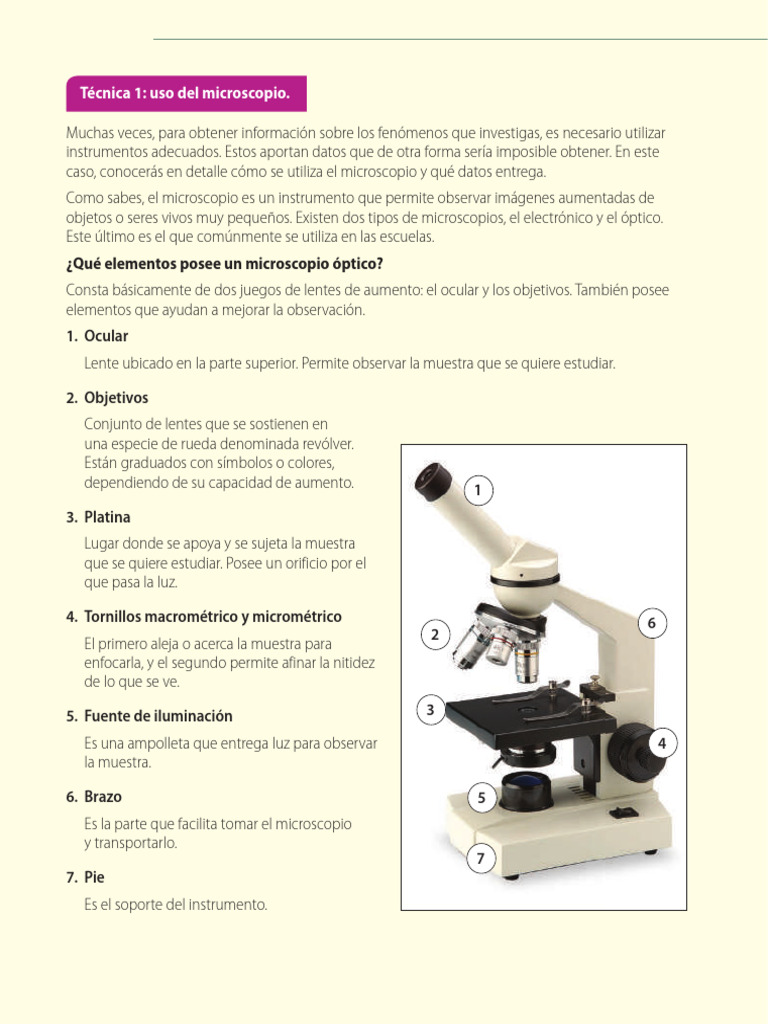 Guía de Uso del Microscopio Óptico | PDF | Microscopio | Lente de la cámara