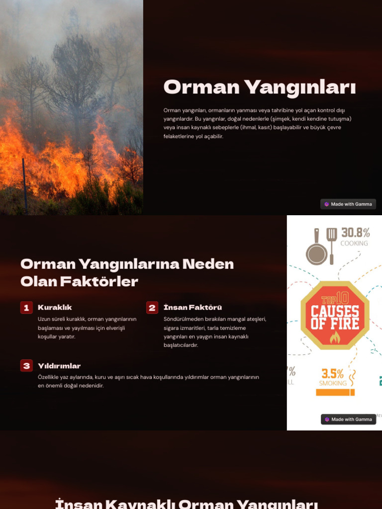 Orman Yanginlari | PDF