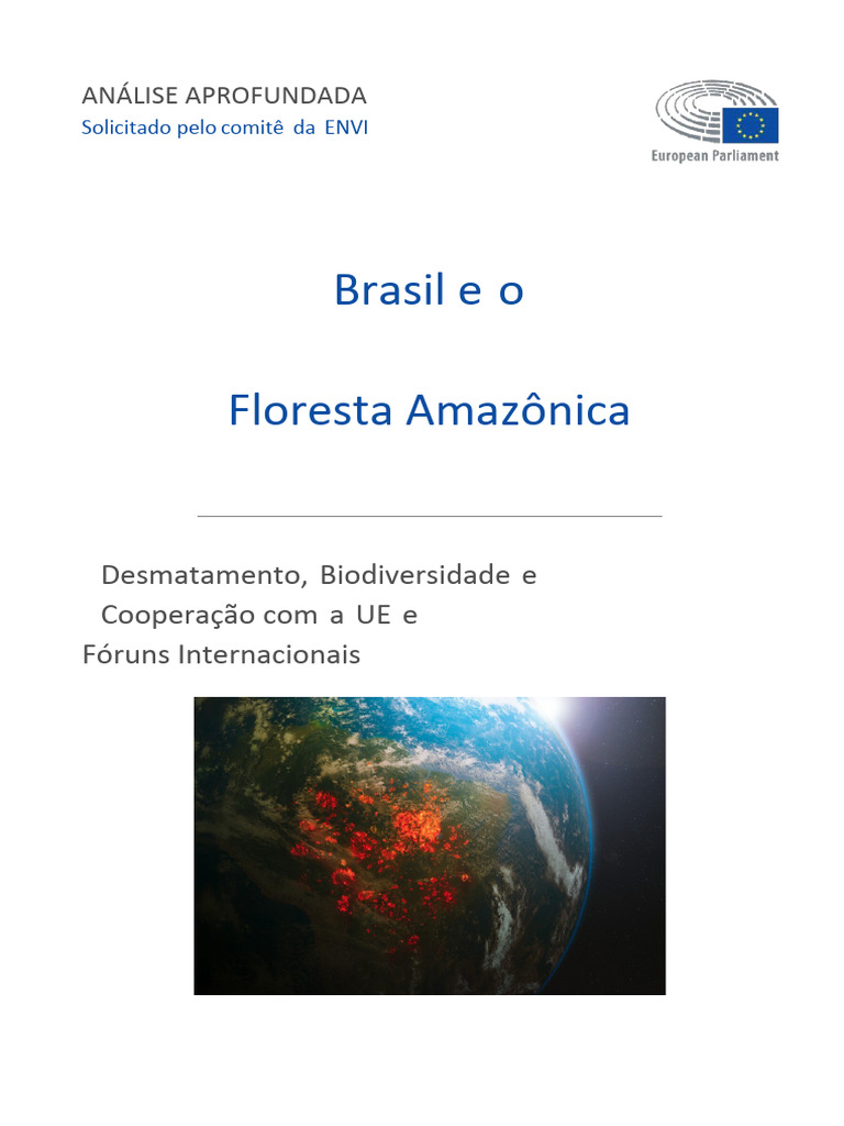 Brazil and the Amazon Rainforest | PDF | Floresta Amazônica | Desmatamento
