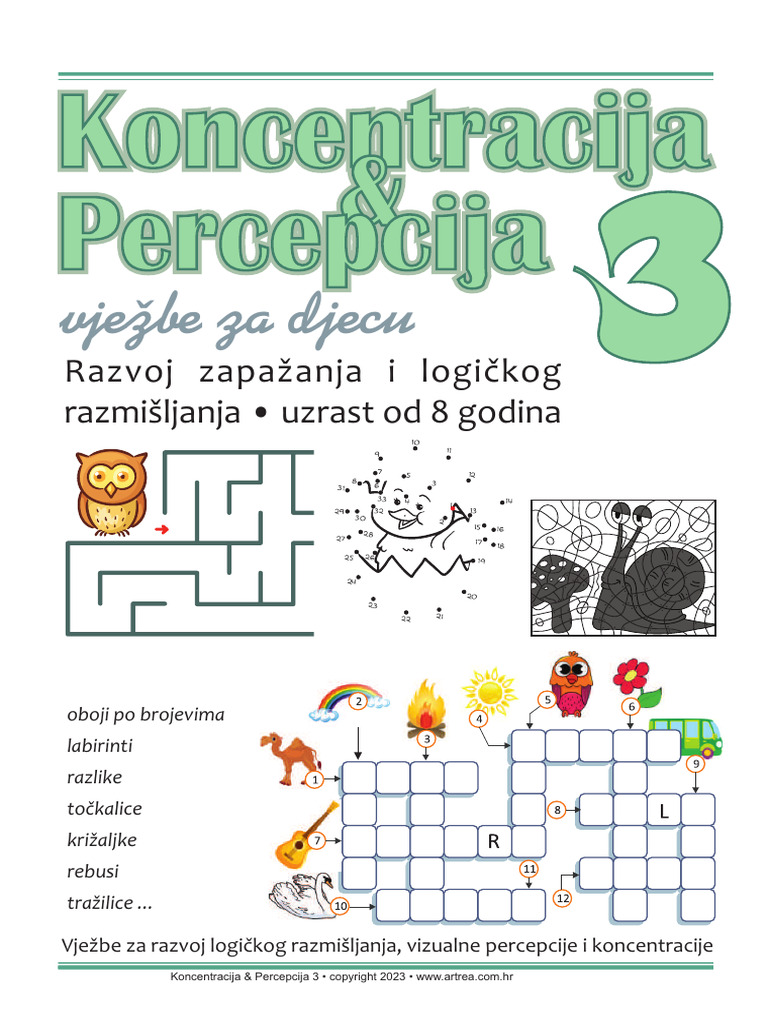 Koncentracija Percepcija 3 | PDF