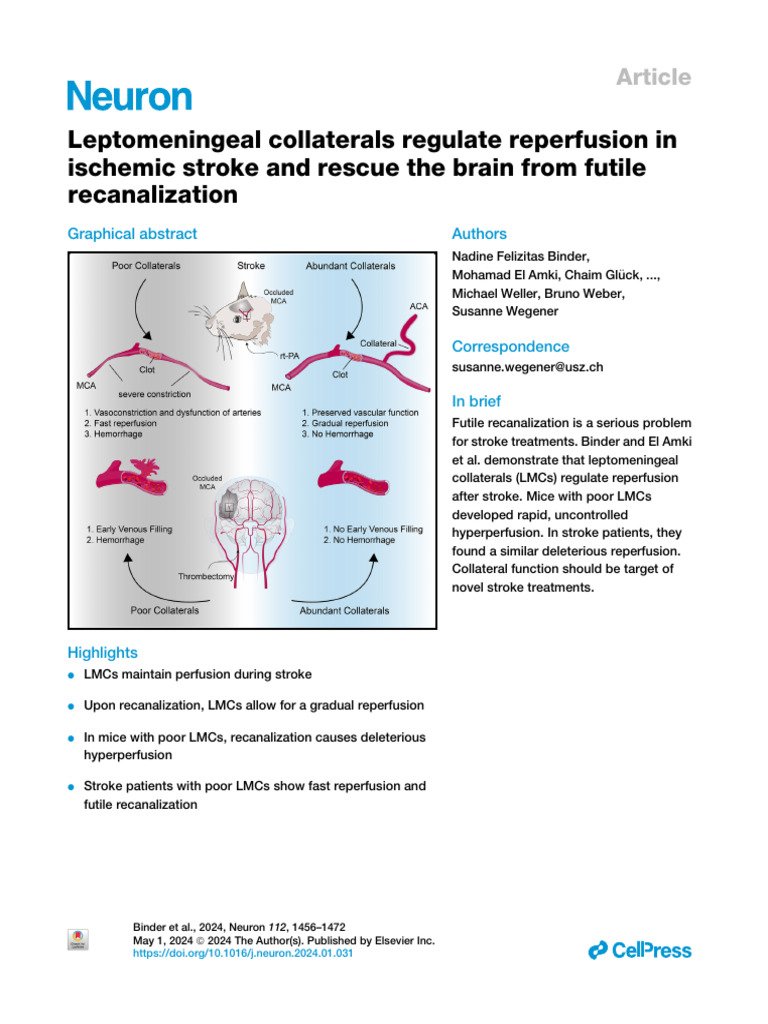 Leptomeningeal Collaterals Regulate Reperfusion in Ischemic Stroke and ...