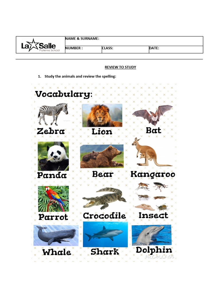 Animal Study and Comparison Guide | PDF | Elephant | Dolphin