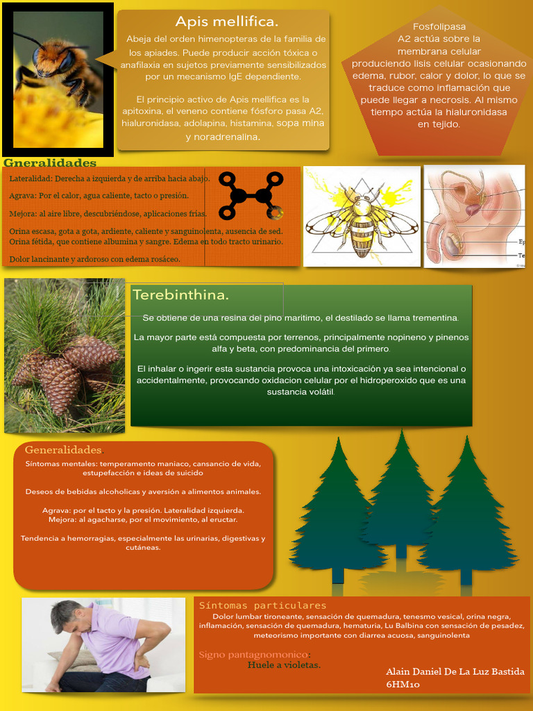 Apis Mellifica y Terbenthina | PDF | Medicina CLINICA | Causas de la muerte